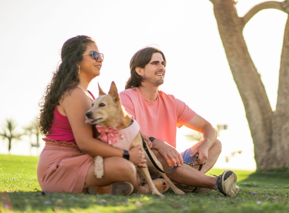 City of Chandler Arizona Careers · City of Chandler